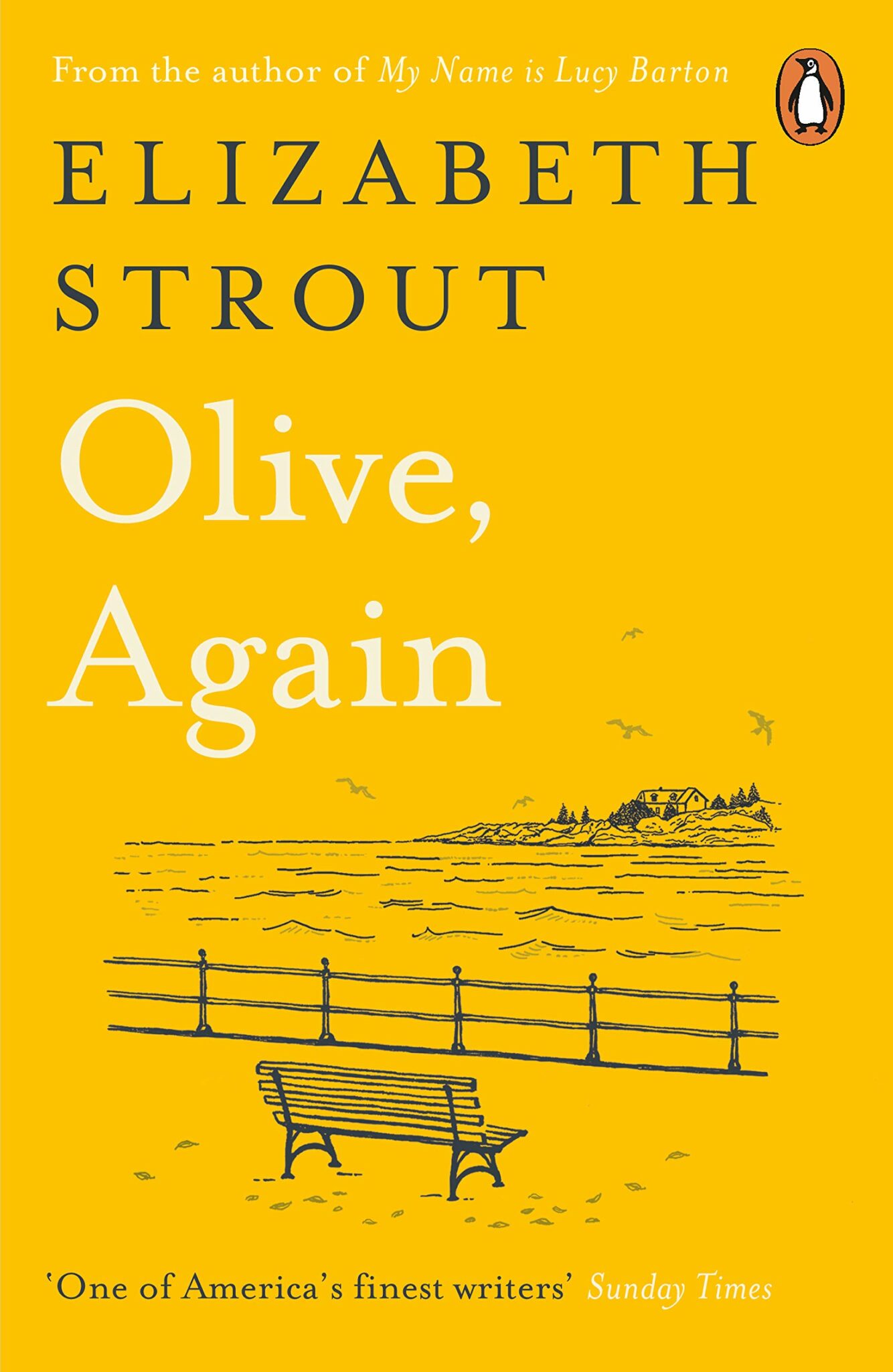 All 9+ Elizabeth Strout Books in Order
