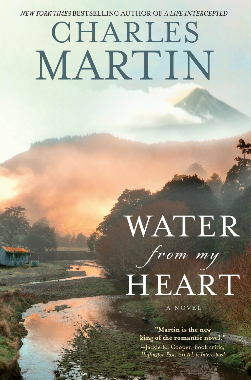 All 20+ Charles Martin Books in Order [Ultimate Guide]
