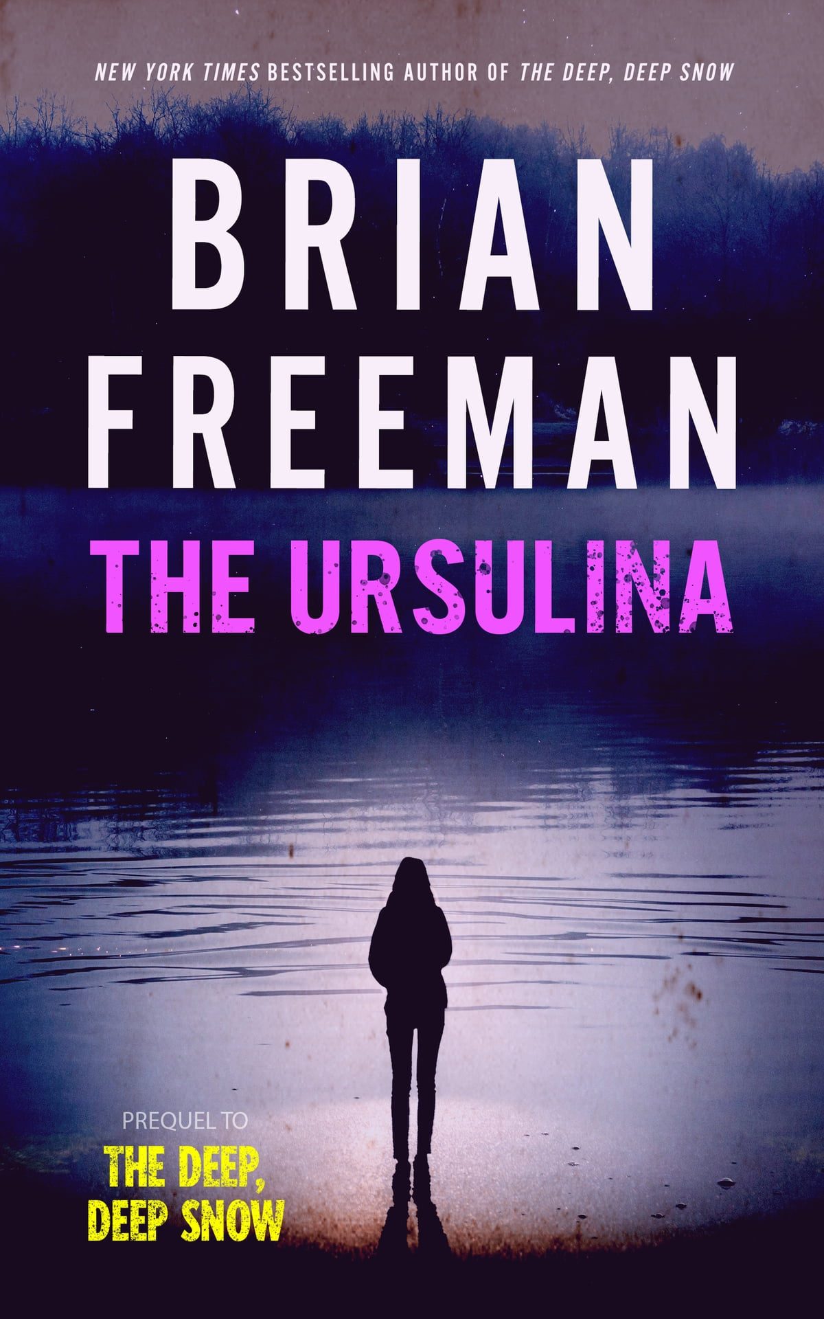 All 35+ Brian Freeman Books in Order [Ultimate Guide]